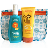 Hair Taming Cream & Taming Spray Duo – T is for Tame